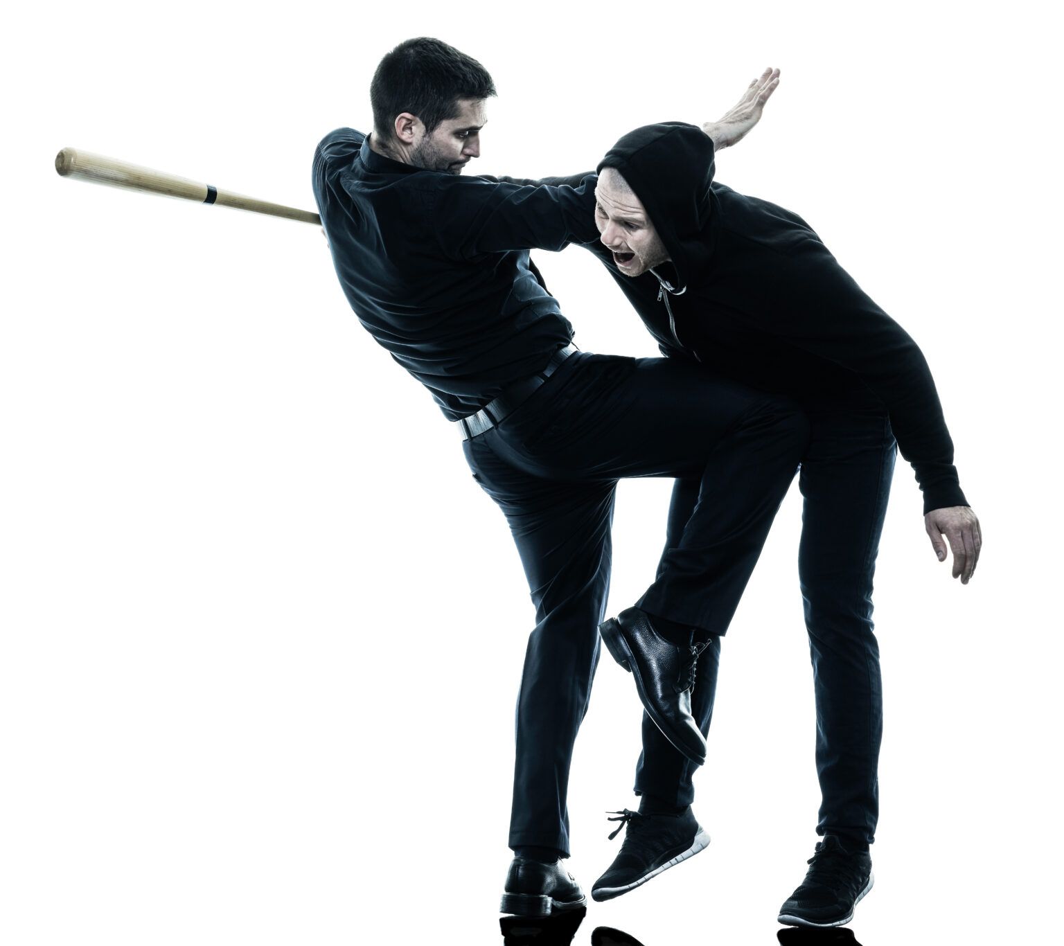 Best Self Defense Styles Basic Info